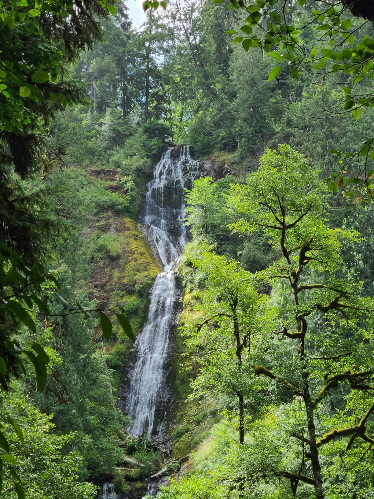 12 Best Nikon Z Cameras in January 2026 (Complete Guide)