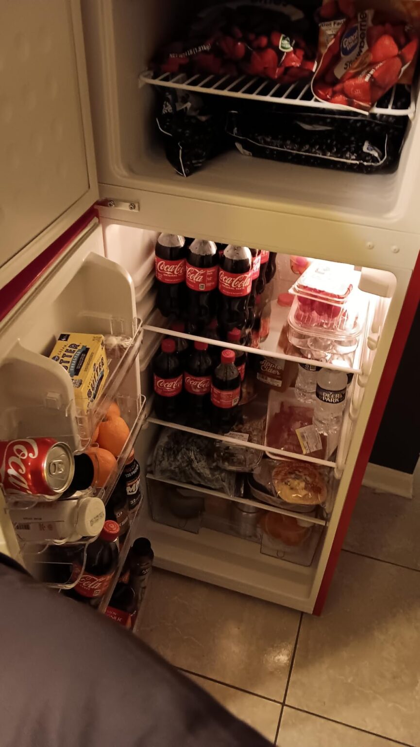 10 Best Mini Fridges for Garages in January 2026 (Garage-Ready Models ...