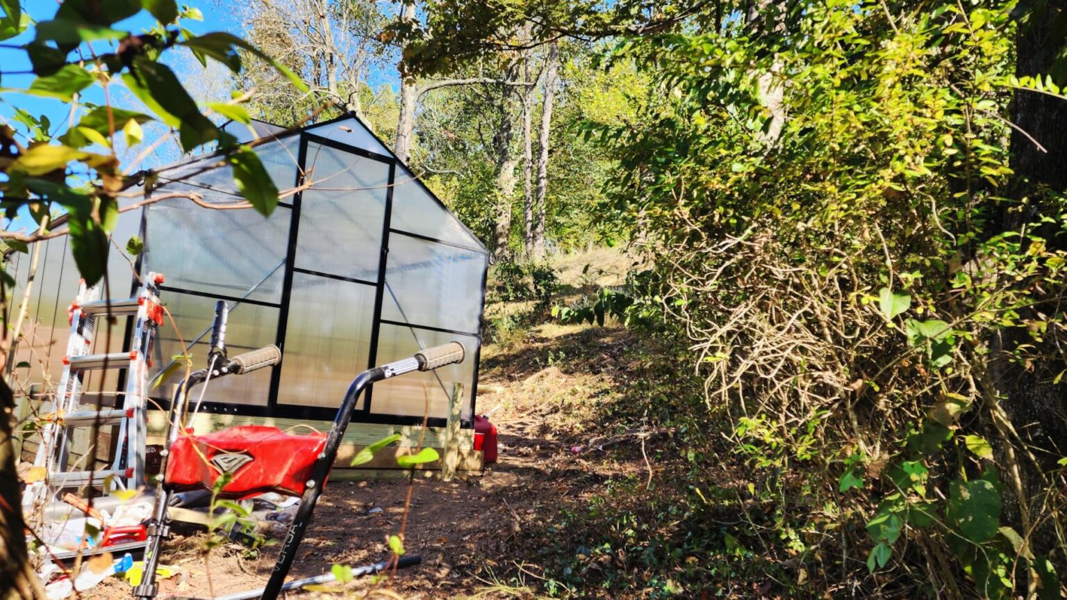 8 Best Polycarbonate Greenhouse Kits (May 2026) Expert Reviews