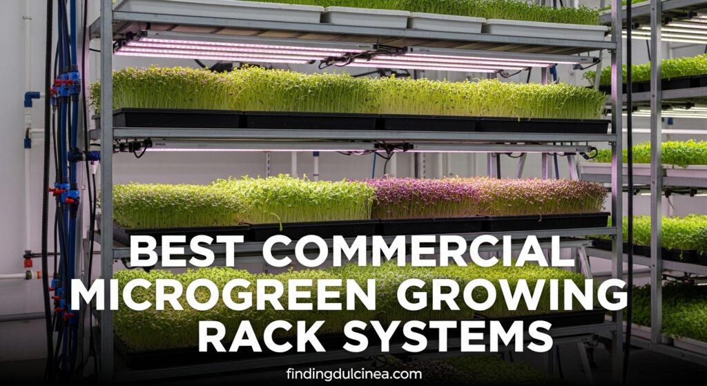 5 Best Commercial Microgreen Growing Rack Systems (May 2026) Expert Picks